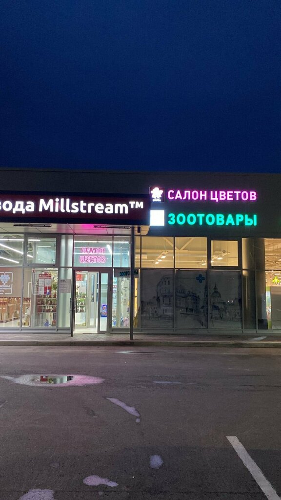 Petshop Мышкин дом, Kalujskaya oblastı, foto