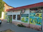 Лидия (Kosmonavta Komarova Street No:27А), market  Astrahan'dan
