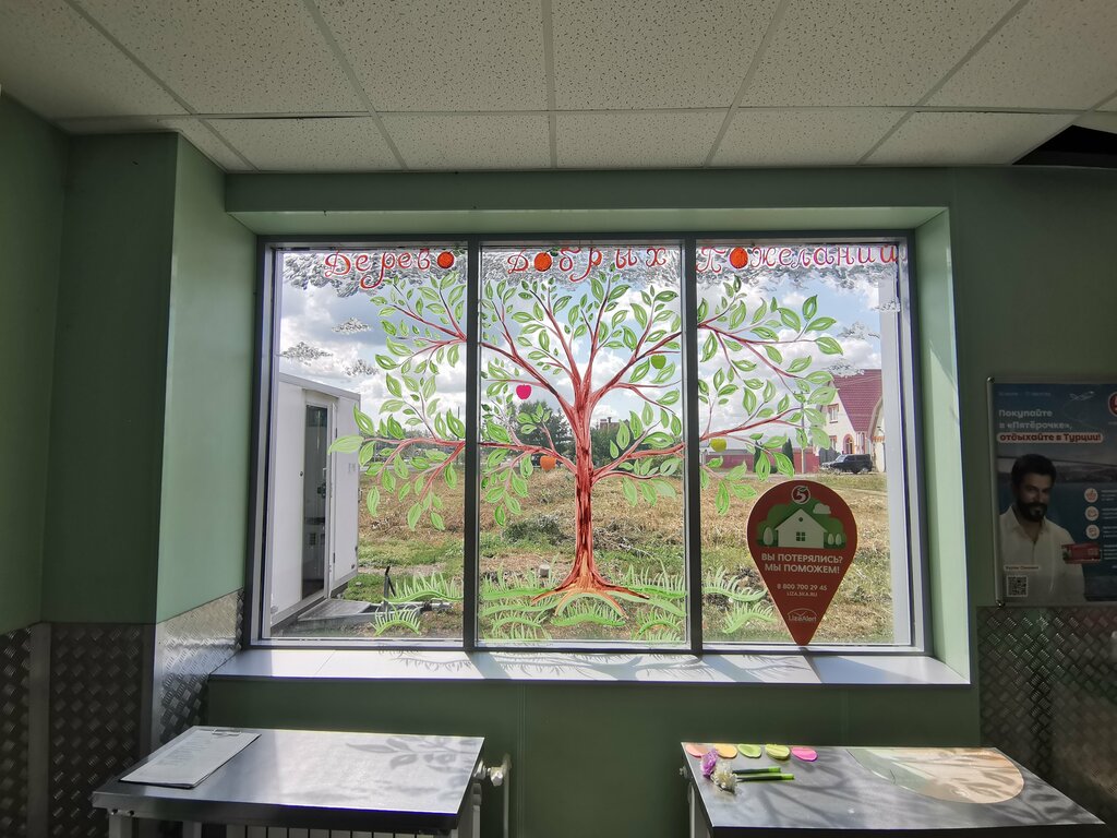 Süpermarket Pyatyorochka, Tambovskaya oblastı, foto