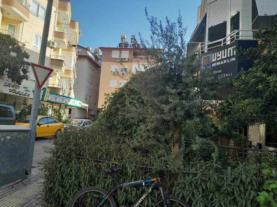 Mimari proje hizmetleri Uyum Mimarlık, Alanya, foto