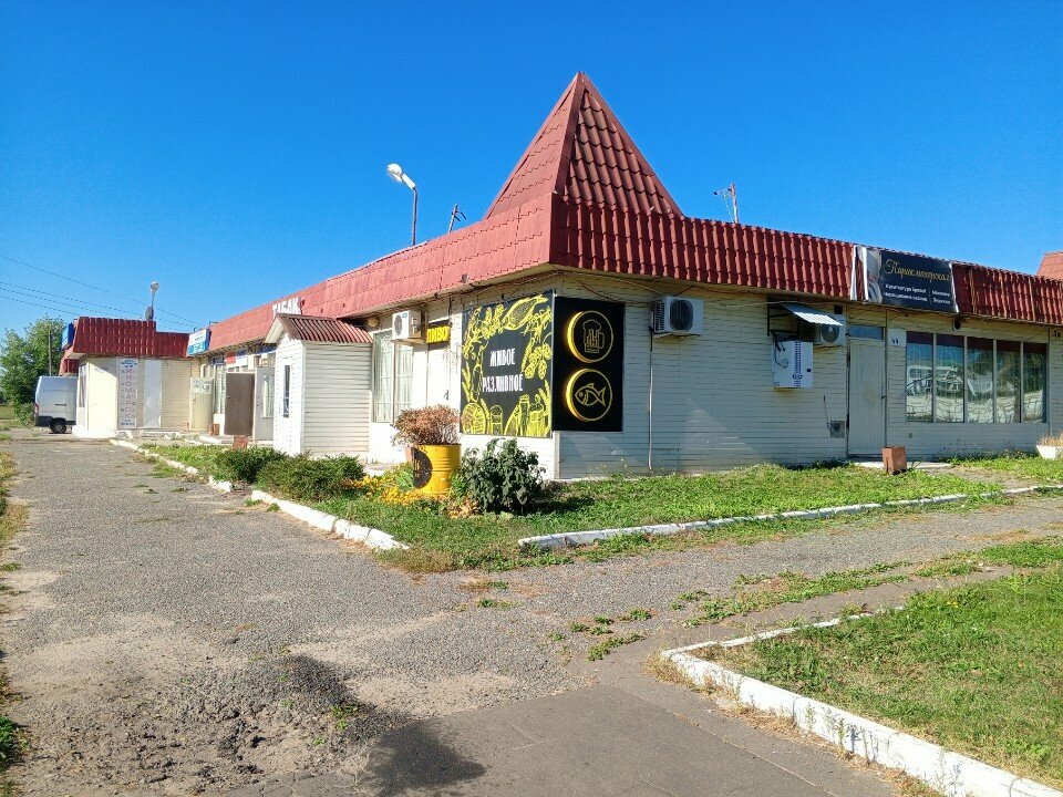 Bira dükkanı Разливное пиво, Kolomna, foto