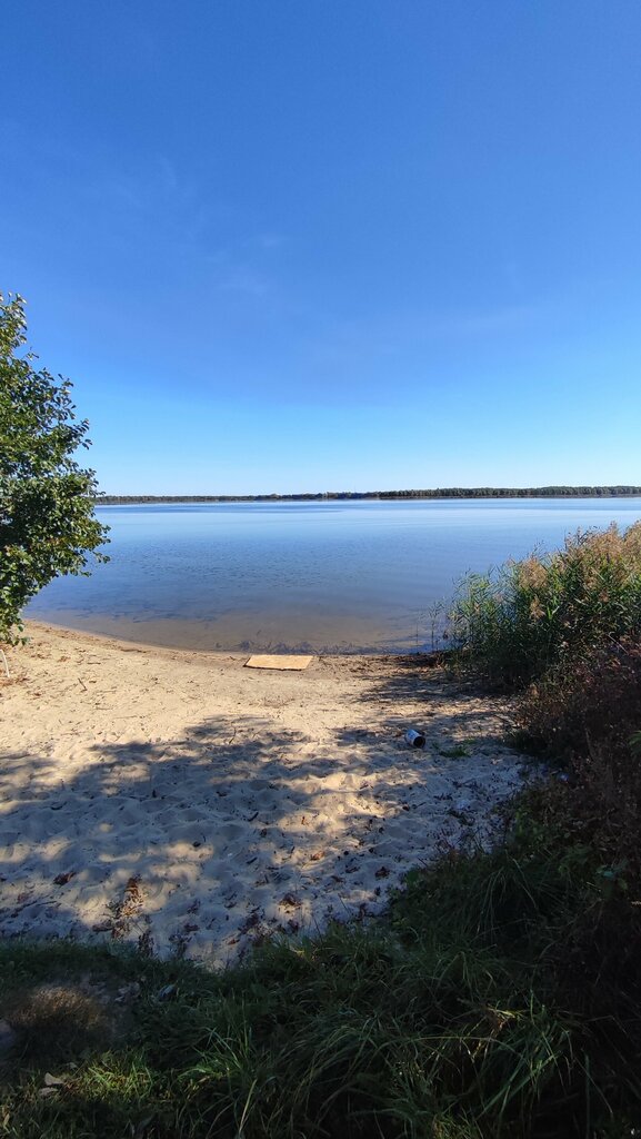 Plaj Пляж, Moskova ve Moskovskaya oblastı, foto