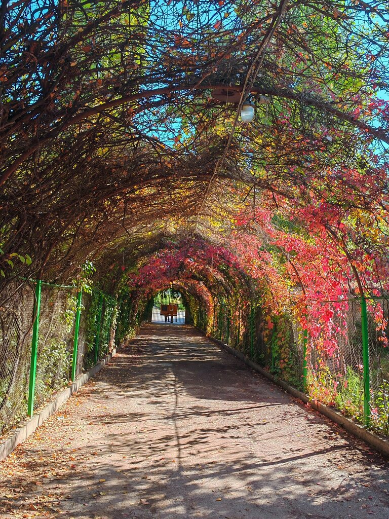 Kültür ve eğlence parkları Yerevan Botanical Garden, Erivan, foto