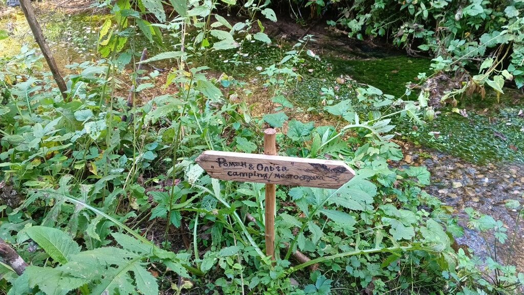 Piknik alanı Место на Журавке, Moskova ve Moskovskaya oblastı, foto
