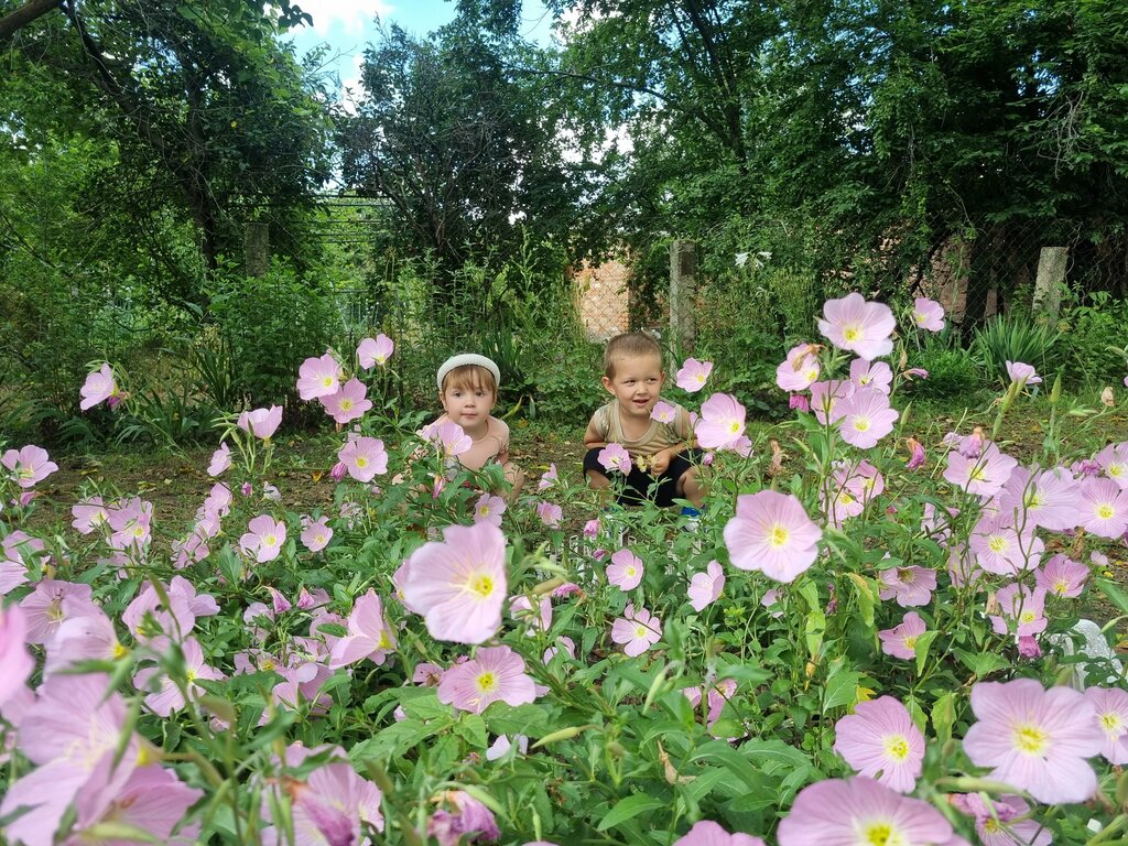 Anaokulları Det/Sad № 18. Ladushki, Mdou, Krasnodarski krayı, foto