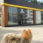 Equipet Veteriner Kliniği (Tekirdağ, Çerkezköy, Cumhuriyet Mah., Çağlayan Sok., 14/1A), veteriner klinikleri  Çerkezköy'den