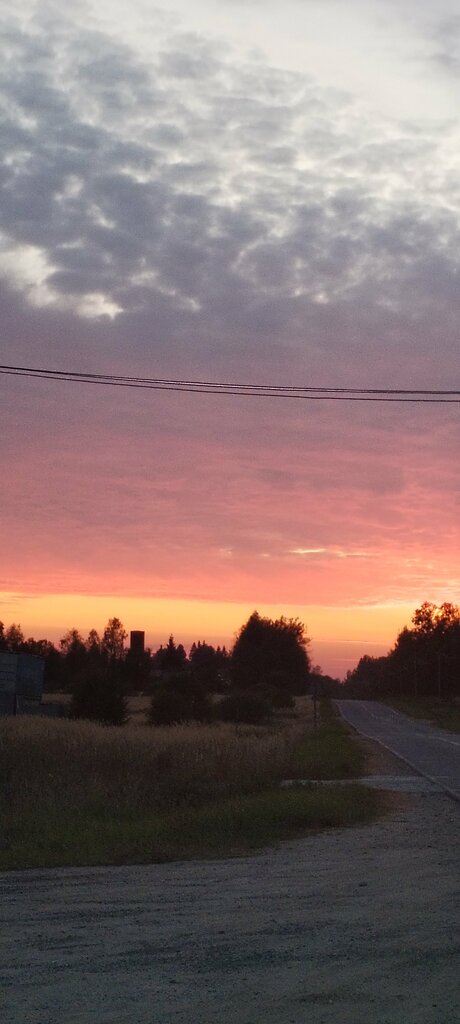 Manavlar Овощи и фрукты, Moskova ve Moskovskaya oblastı, foto