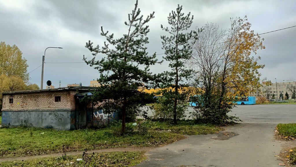 Toplu taşıma yönetimi ve bakımı СПб ГКУ Организатор перевозок, автобусная станция Улица Грибакиных, Saint‑Petersburg, foto