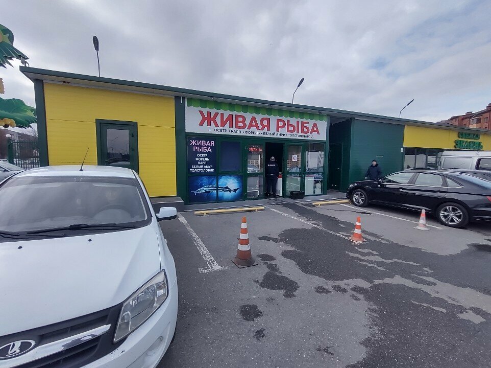Balık ve deniz ürünleri Живая рыба, Vladikavkaz, foto