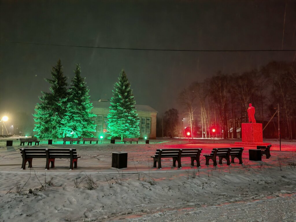 Anıt, heykel В.И. Ленин, Kostromskaya oblastı, foto