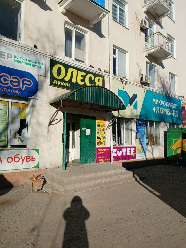 Finansal danışmanlık Zajmer, Balkaş, foto