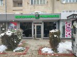 Dent House (Shirakatsi Street No:54), özel ağız ve diş sağlığı klinikleri ve muayenehaneleri  Gümrü'den