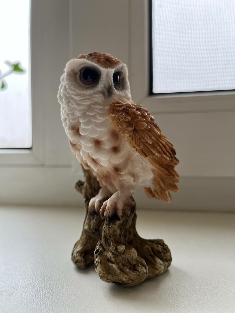 3D hizmetler 3dhusky, Krasnogorsk, foto