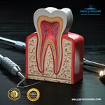 Smiles by Designer (Distrital Jesus Maria, Avenida Horacio Urteaga, 1458), özel ağız ve diş sağlığı klinikleri ve muayenehaneleri  Lima Bölgesi'nden