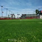 Alpay Halı Saha (Düzce, Düzce Merkez, D-100 Karayolu Cad., 374), stadyum  Düzce'den