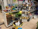 Aktaş Akvaryum Petshop (Düzce, Düzce Merkez, Atatürk Blv.), petshop  Düzce'den