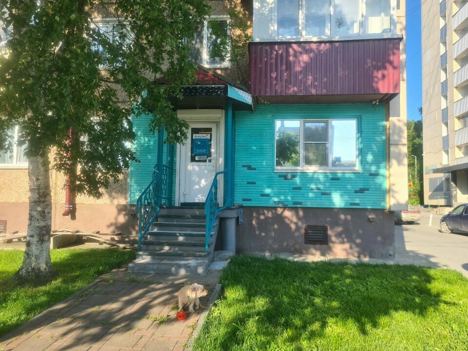 Veteriner eczaneleri Доктор Мопс, Sakhalinsk, foto
