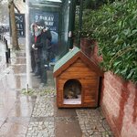 Akadlar Eczanesi (Akat Mah., Zeytinoğlu Cad., No:49, Beşiktaş, İstanbul), eczaneler  İstanbul'dan