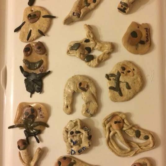 Çocuk gelişim merkezleri Gizli Bahçe Çocuk Evi, İstanbul, foto