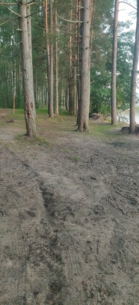 Plaj Пляж, Tverskaya oblastı, foto