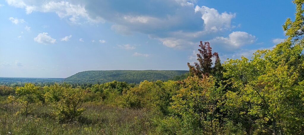 Dağ zirvesi Гора Сосновая, Samarskaya oblastı, foto
