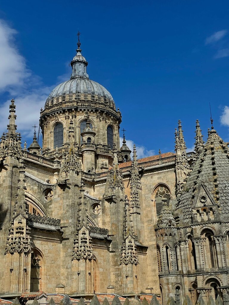 Yabancı dil kursları Study Spain, Moskova, foto