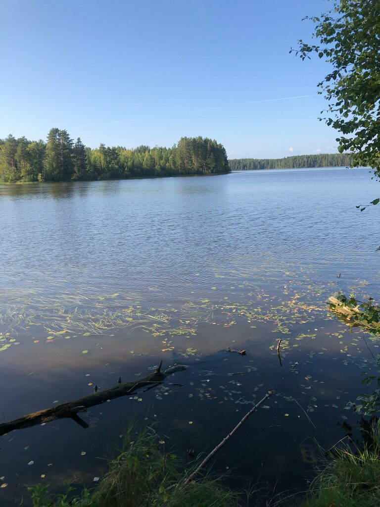 Market Grocery store, Karelya, foto