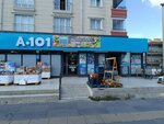 A101 (Ankara, Etimesgut, 30 Ağustos Mah., Dilaver Cebeci Sok., 12), süpermarket  Ankara'dan
