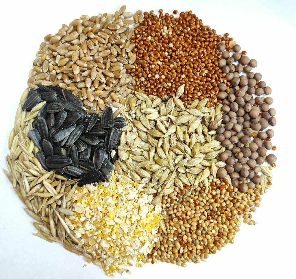 Yem ve yem katkı maddeleri Комбикорма Павловские и Purina, Pavlovsk, foto