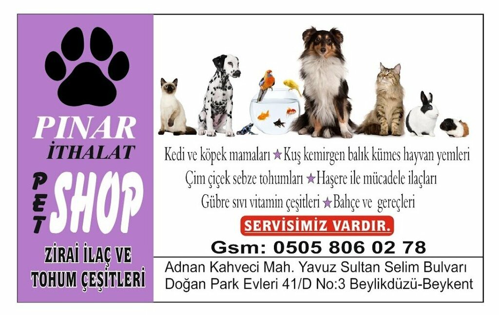 Petshop Pınar Petshop, İstanbul, foto