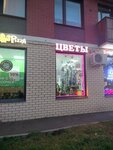 Pioni (ulitsa Narodnogo Opolcheniya No:2, Savvino Microdistrict), çiçekçiler  Balaşiha'dan