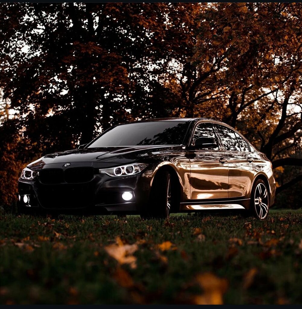 Oto yıkama WhiteCarWash, Saint‑Petersburg, foto