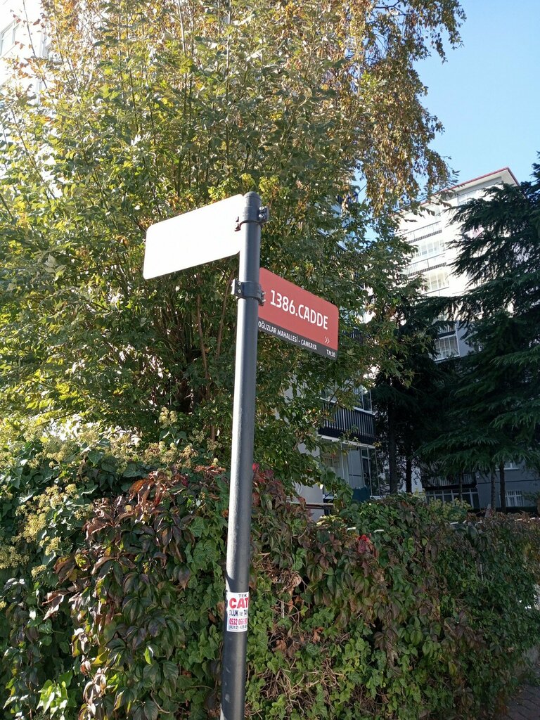 Reklam ajansları Comart, Ankara, foto