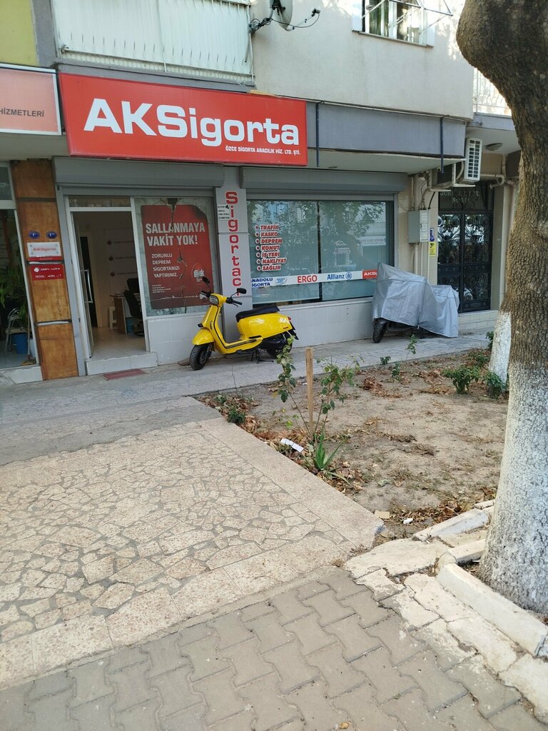 Sigorta şirketleri Aksigorta Mansuroğlu, İzmir, foto