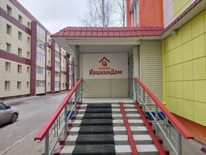 Котокафе Кошкин Дом (No:2, 1-y mikrorayon), kafe  Niagan'dan