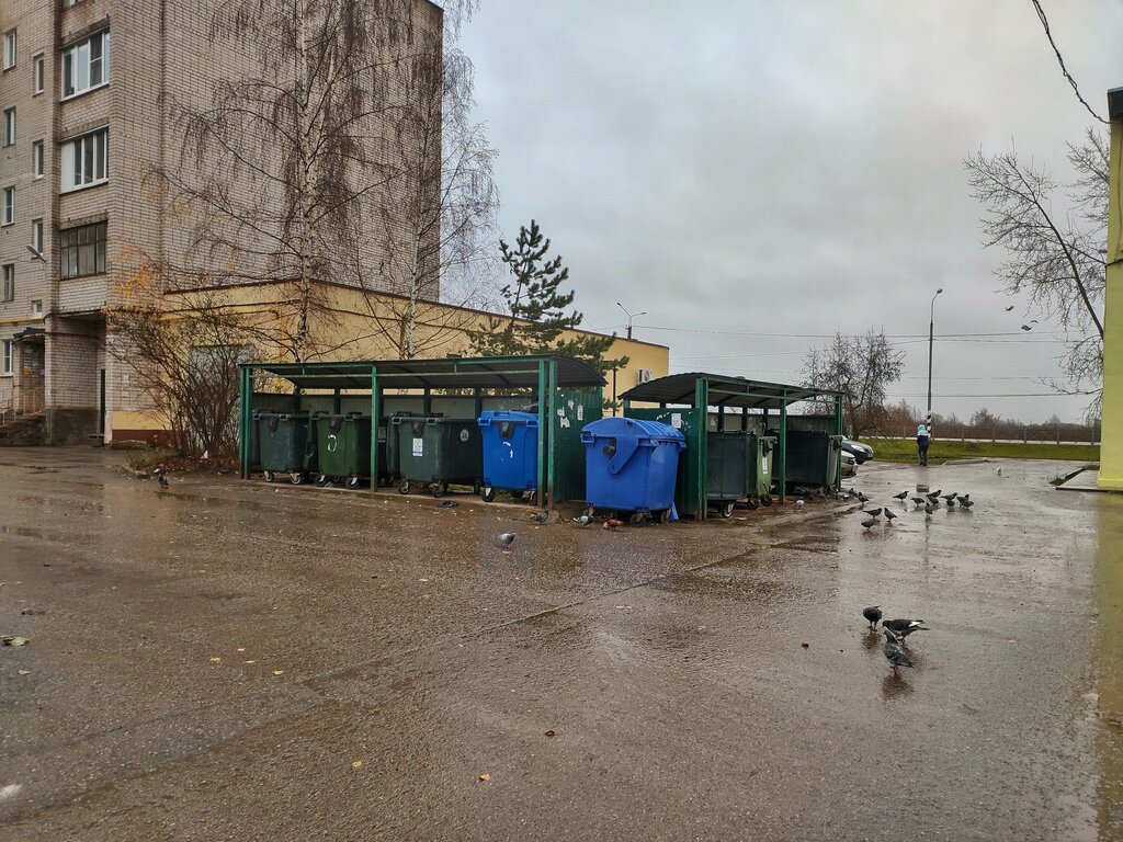 Çöp alanları Trash and garbage disposal area, Novgorodskaya oblastı, foto