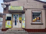 Живое на розлив (Elevatornaya Street No:23), bira dükkanı  Novorossiysk'ten