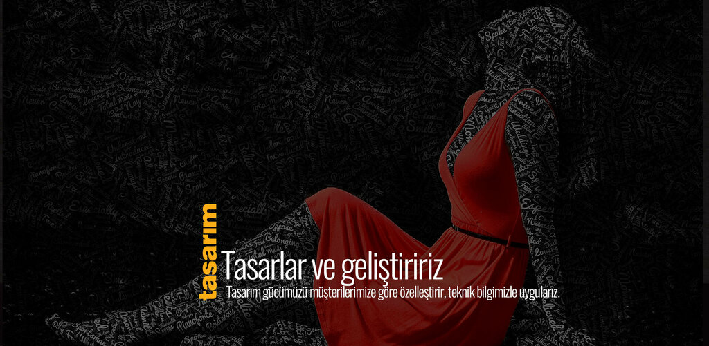 Web tasarım hizmetleri Webfikir Atölyesi, İzmir, foto