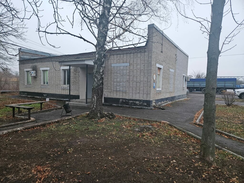 Oto elektrik tamiri Автоэлектрик, Bataysk, foto