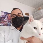 Barış Veteriner Kliniği (Tekirdağ, Süleymanpaşa, Hürriyet Mah., Şehit Rüştü Ökeler Cad., No:16), veteriner klinikleri  Süleymanpaşa'dan