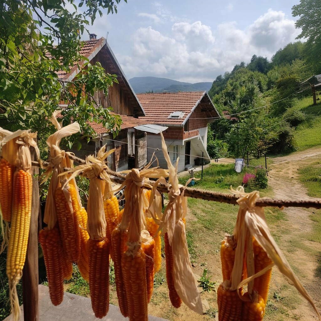 Muhtarlıklar Uzunçam Köy Muhtarlığı, Ayancık, foto