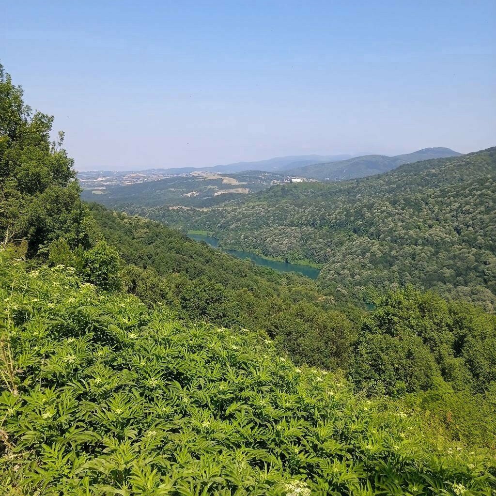 Otel Simirna Sahil Otel, Çınarcık, foto