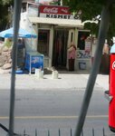 Kısmet Gıda (Niğde, Niğde Merkez, Toplu Konut Mah., Orhan Batı Cad., 93), gıda pazarı  Bor'dan