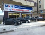 Trend Otomotiv Boyasız Onarım Merkezi (Elazığ, Elazığ Merkez , Ali Rıza Septioğlu Blv., 84A), otomobil servisi  Elazığ'dan