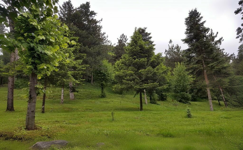 Termal otel Bolu Termal Küçük Kaplıca, Bolu, foto