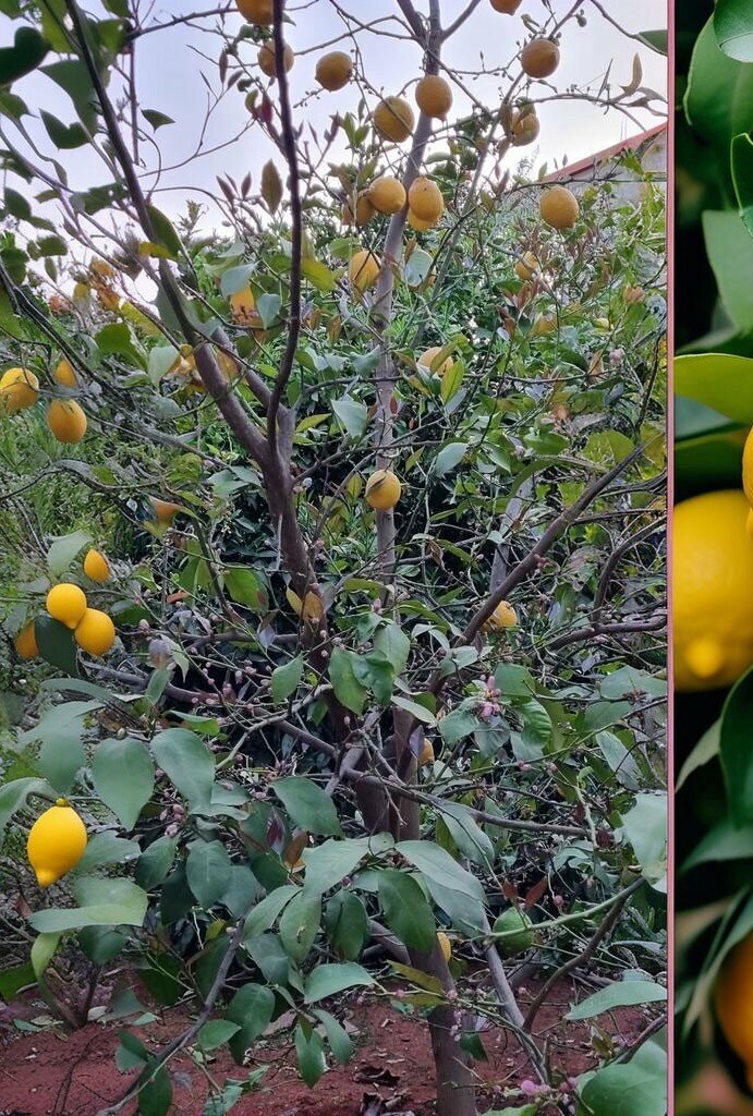 Kültür ve eğlence parkları Osman Ekin Parkı, Döşemealtı, foto