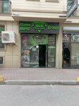 Fitness World Green (İstanbul, Fatih, Aksaray Mah., Sorguçcu Sok., 4B), fitness kulüpleri  İstanbul'dan