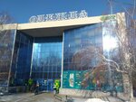 Lombard (Peace Avenue No:94), rehincilik  Temirtav'dan