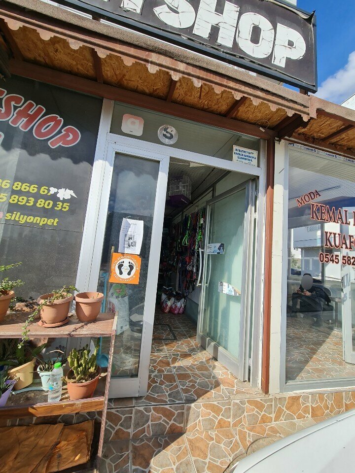 Petshop Silyon Petshop, Antalya, foto