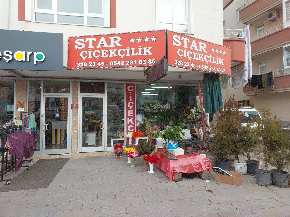 Çiçekçiler Star Çiçekçilik, Ankara, foto